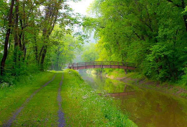 Coverage by State | CopperPoint Insurance Companies