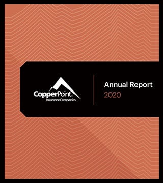 Workers' Compensation and Commercial Property and Casualty Insurance ...